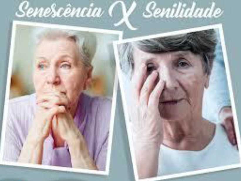 Processos do envelhecimento - Senilidade - Austil Z